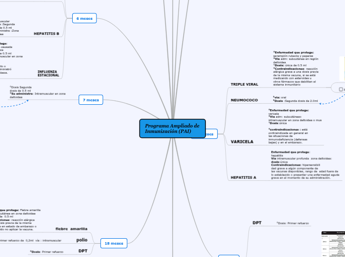 Programa Ampliado de Inmunización (PAI) - Mind Map